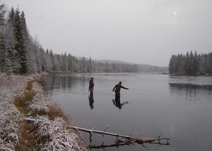 Fly Fishing Photo Gallery 2014. Grayling, Brown Trout, Fly Fishers